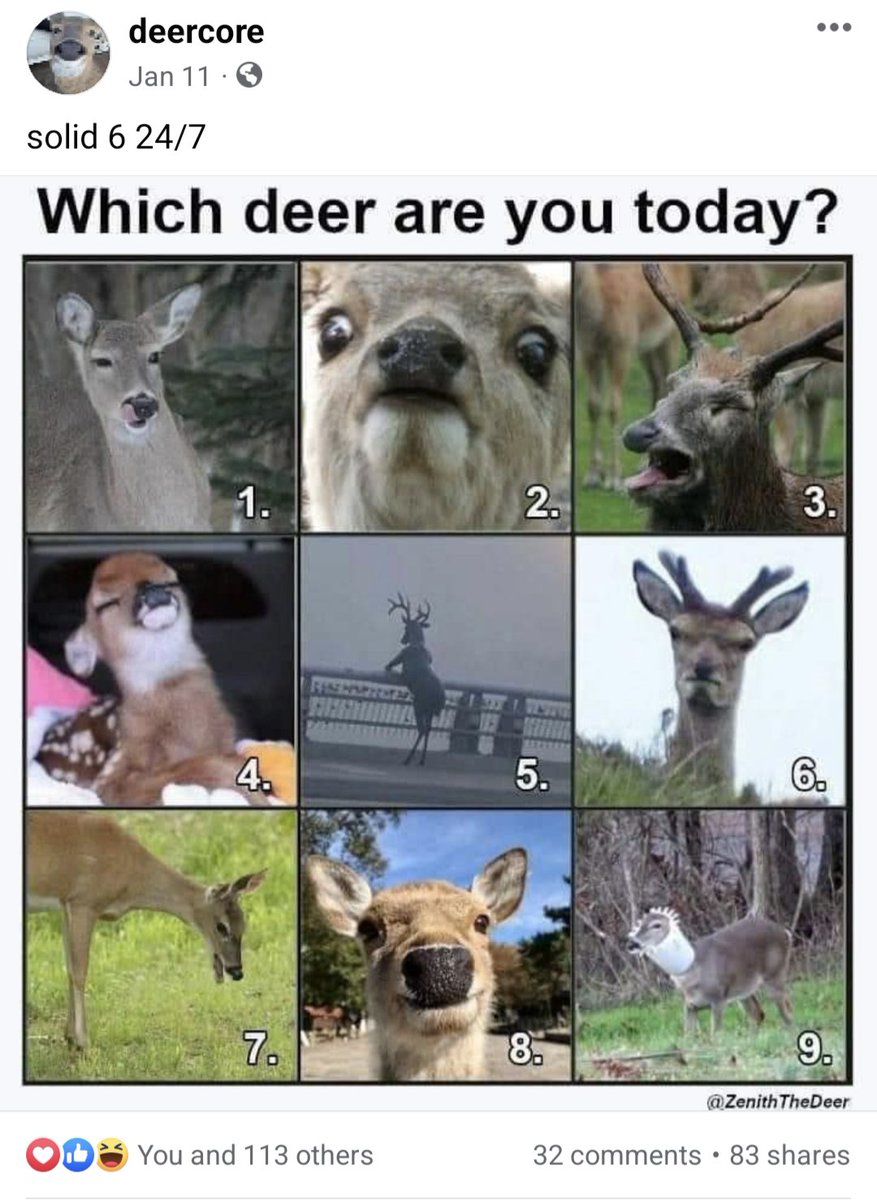 Derr Memes Deer Memes