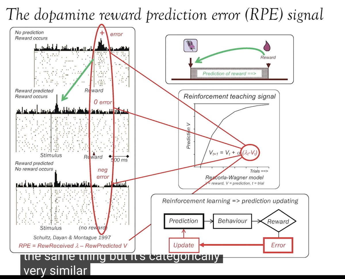 A (massive) thread on dopamine 🧵 - Thread from Paras Chopra ...