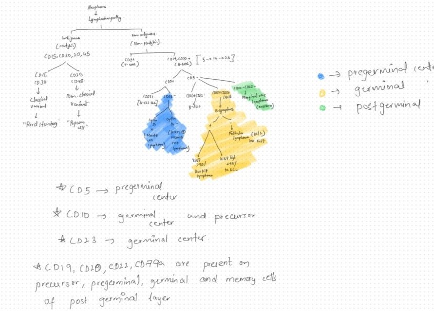 CD markers and Lymphomas 🙃 Let's make it easier. There are 100s of CD ...