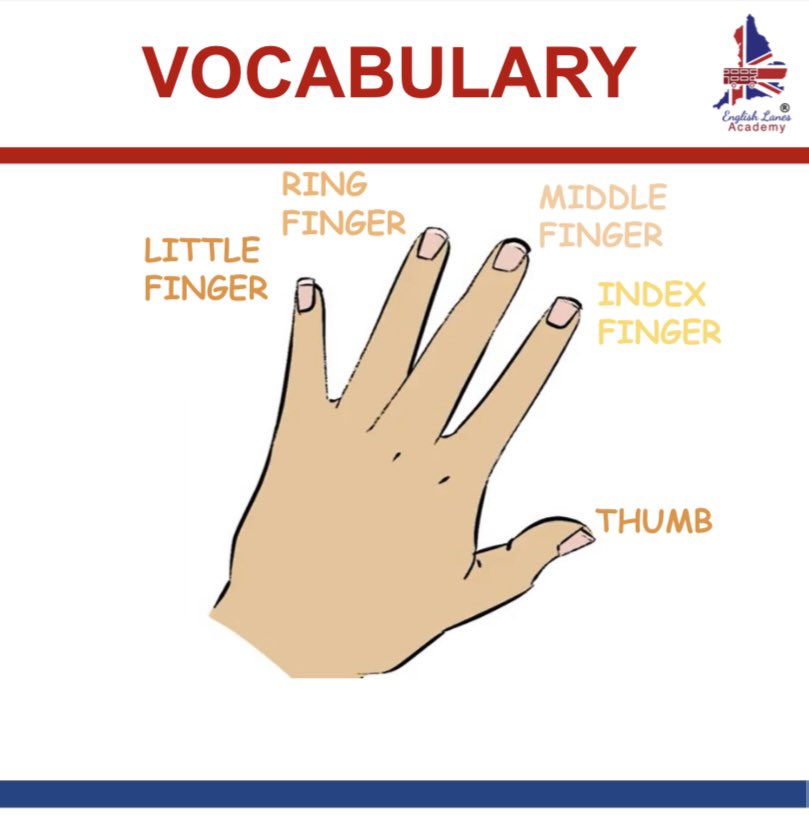 Hand Knuckle Names Hand Rheumatoid Arthritis Physiopedia