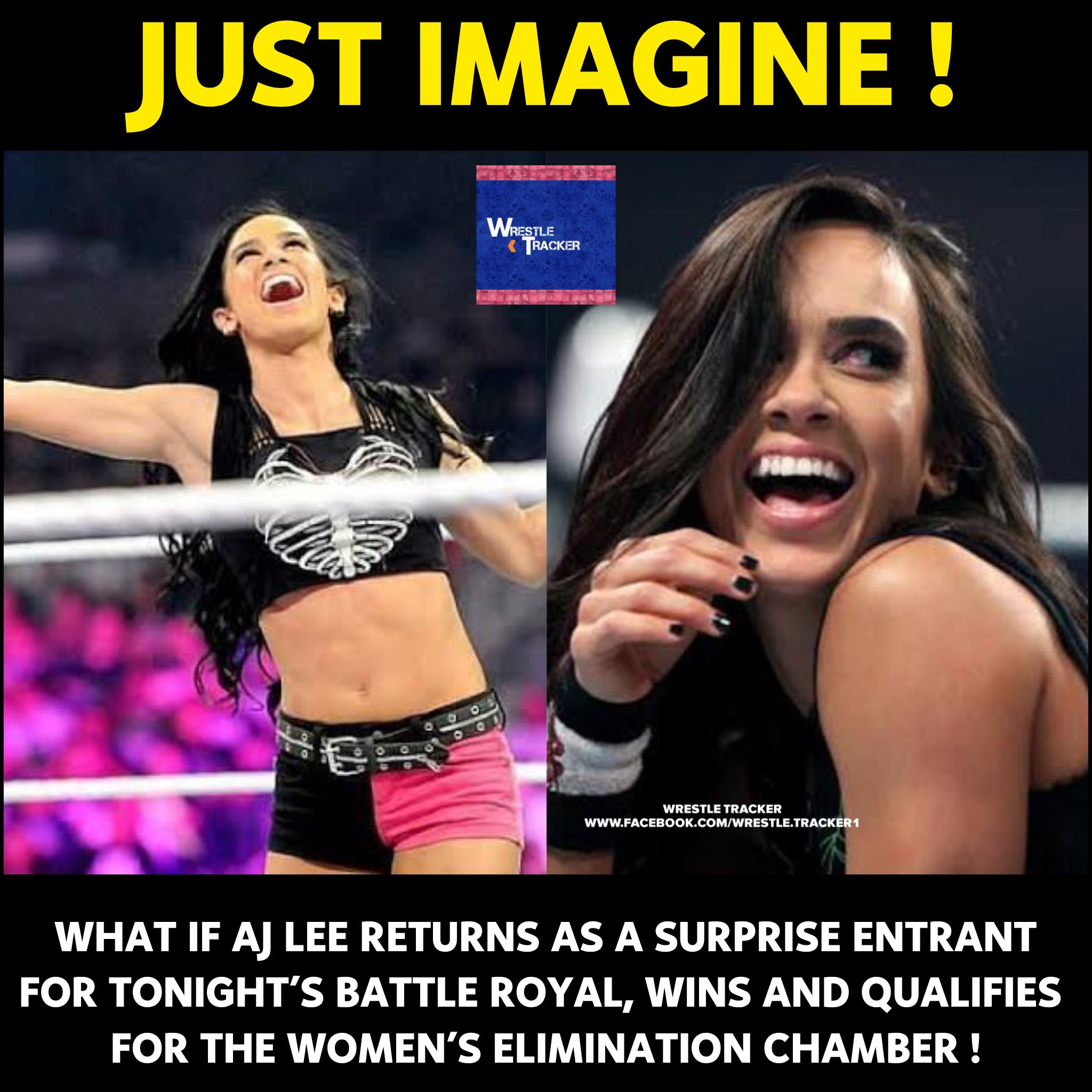Aj Lee Memes CM Punk Delights Fans With Funny AJ Lee Snapshot On Her