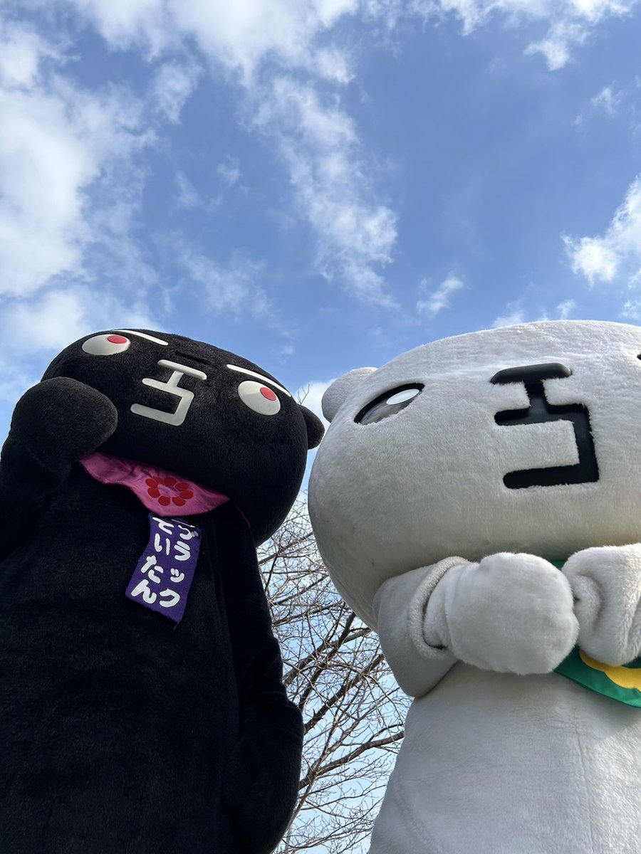 ていたん【公式】(@teitan_kita9) - Twilog