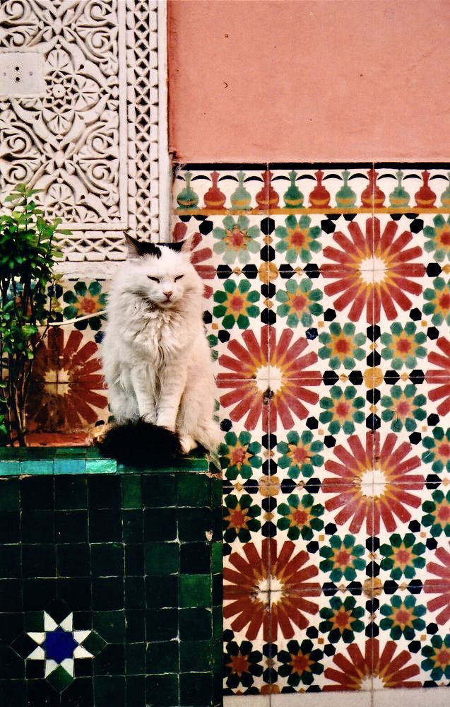 Zellij is a style of North African mosaic work, originating in the 10th ...