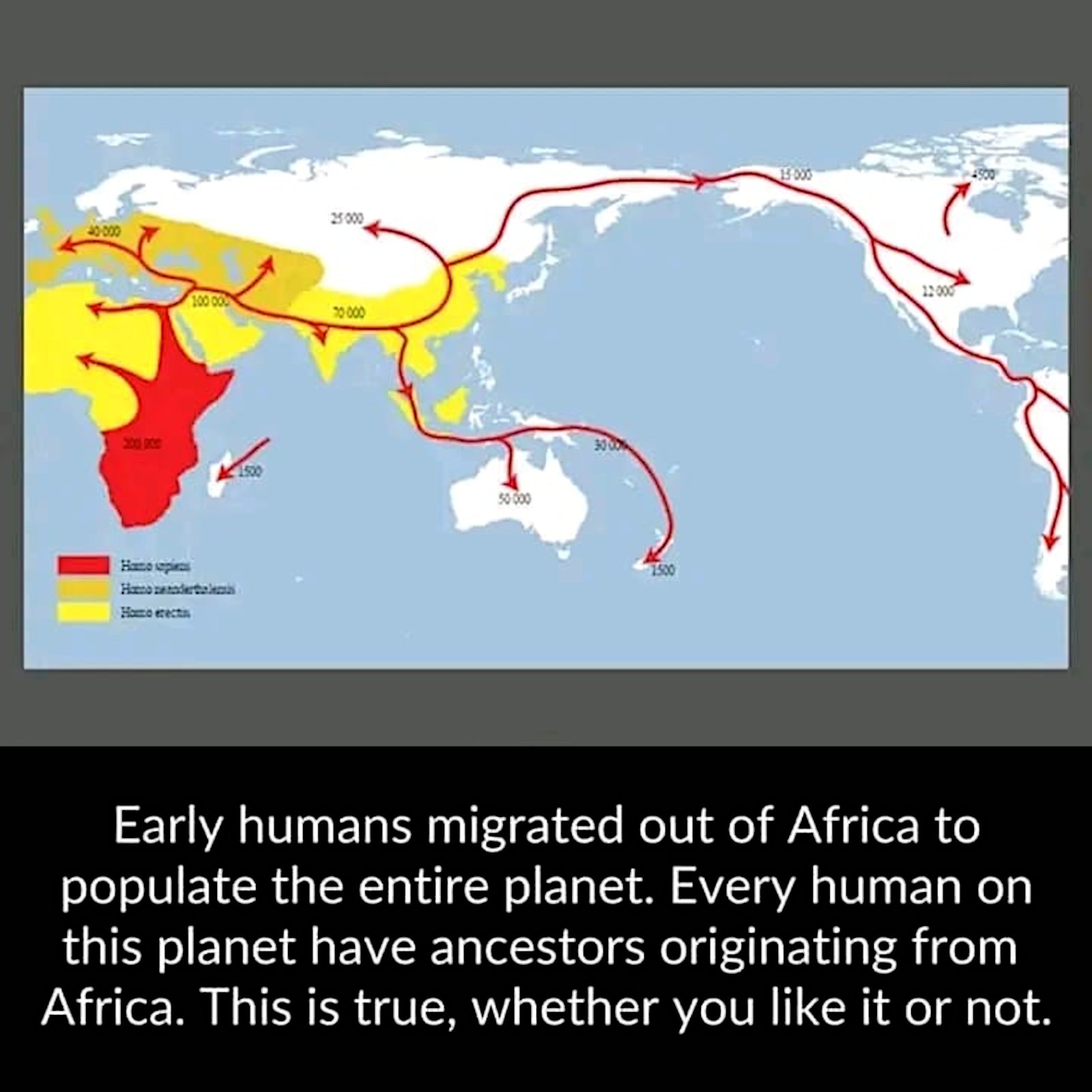 Human Migration Out Of Africa Map Humans Spread Out Of Africa And