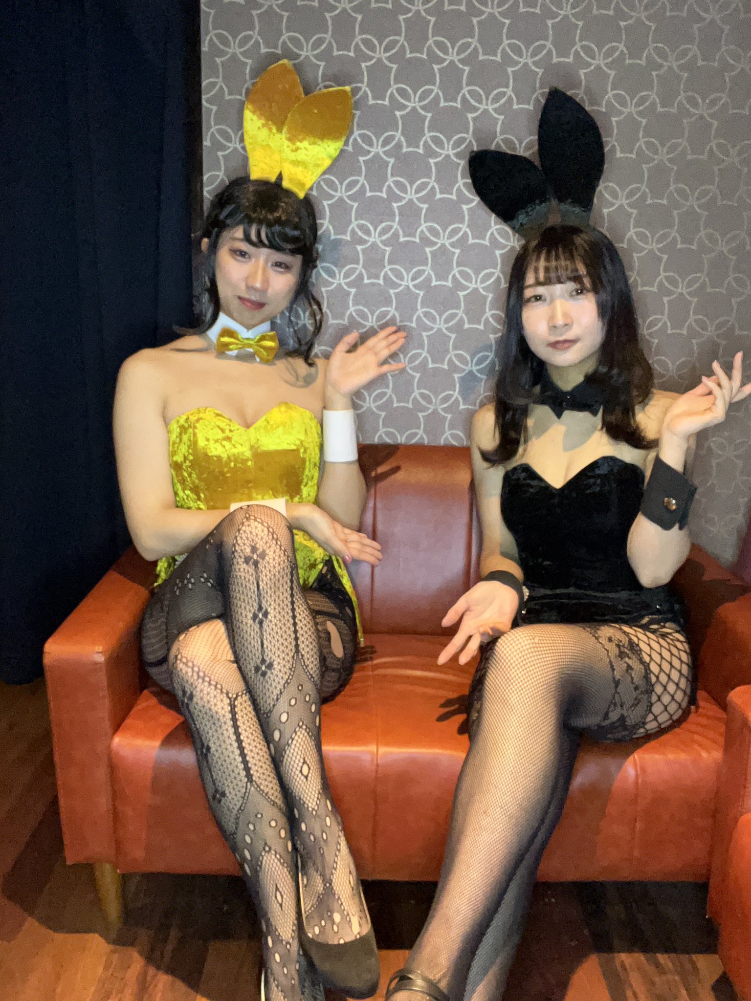 BunnyPalaceバニーパレス秋葉原ガールズバー on X: BunnyPalaceバニーパレス秋葉原ガールズバー on X: