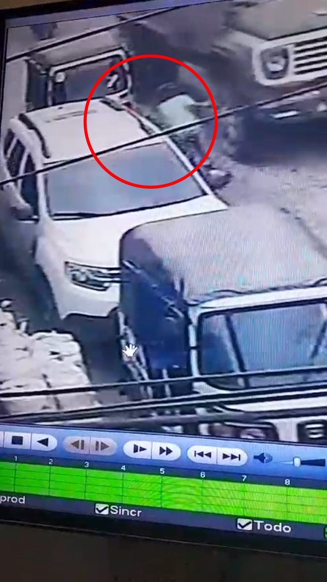 El Cuerpo De Nikki Catsoura