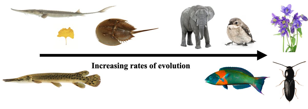 1/13 🚨🚨 I am so excited to present our new paper, six years in the ...