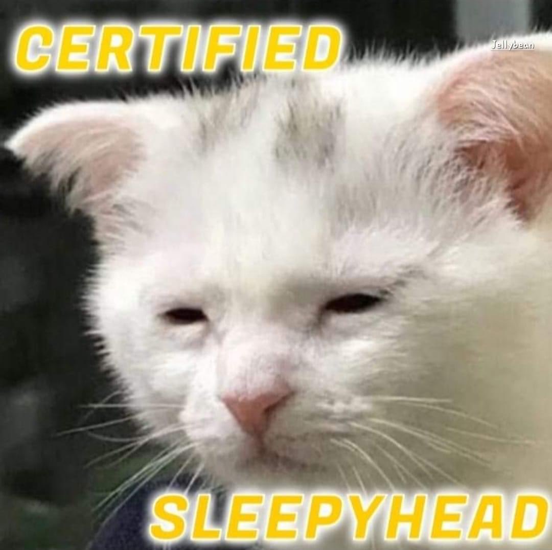Sleepy Head Memes OC] Wake Up Sleepyhead! : R/Hololive