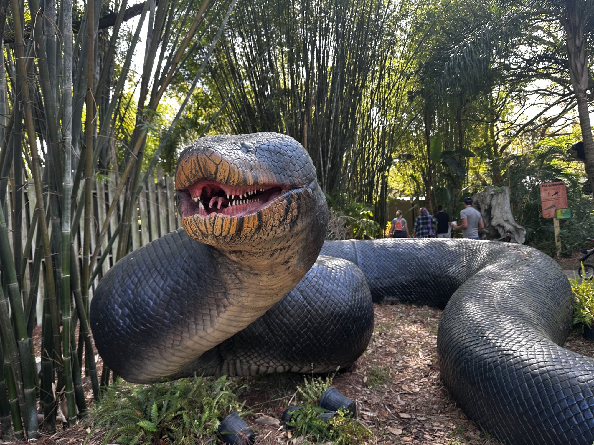 Giant Prehistoric Snake Titanoboa: Monster Snake Exhibit At The