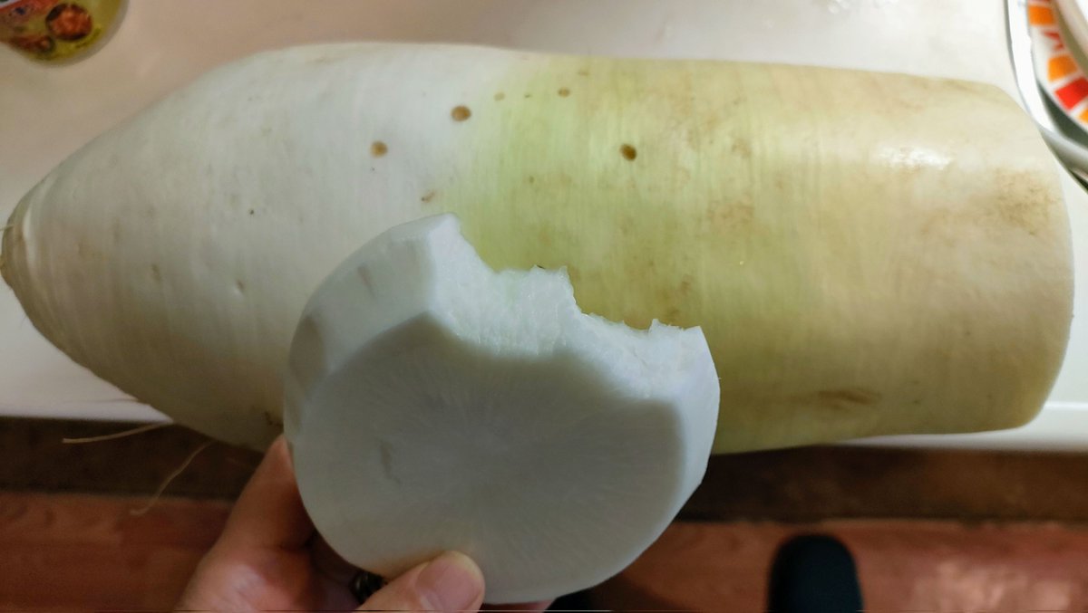 BOPPO(@Boppo2011) - Twilog