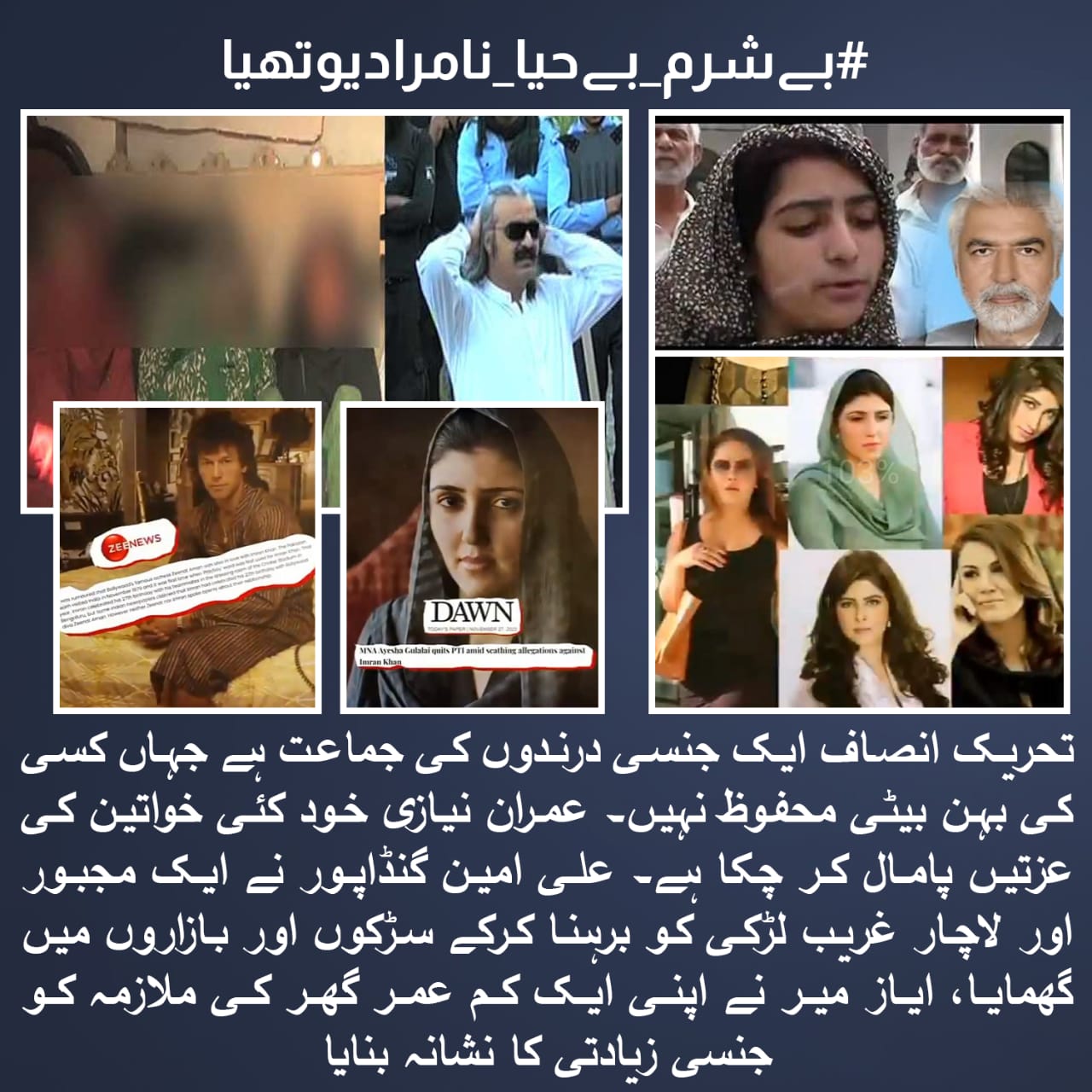 Funny Pics Against Pti PTI Core Committee Member Hamid Raza Khan