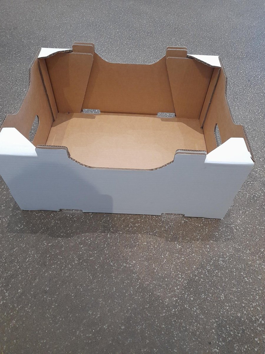 cardboard Packaging (@cardboardpackag) / Posts / X