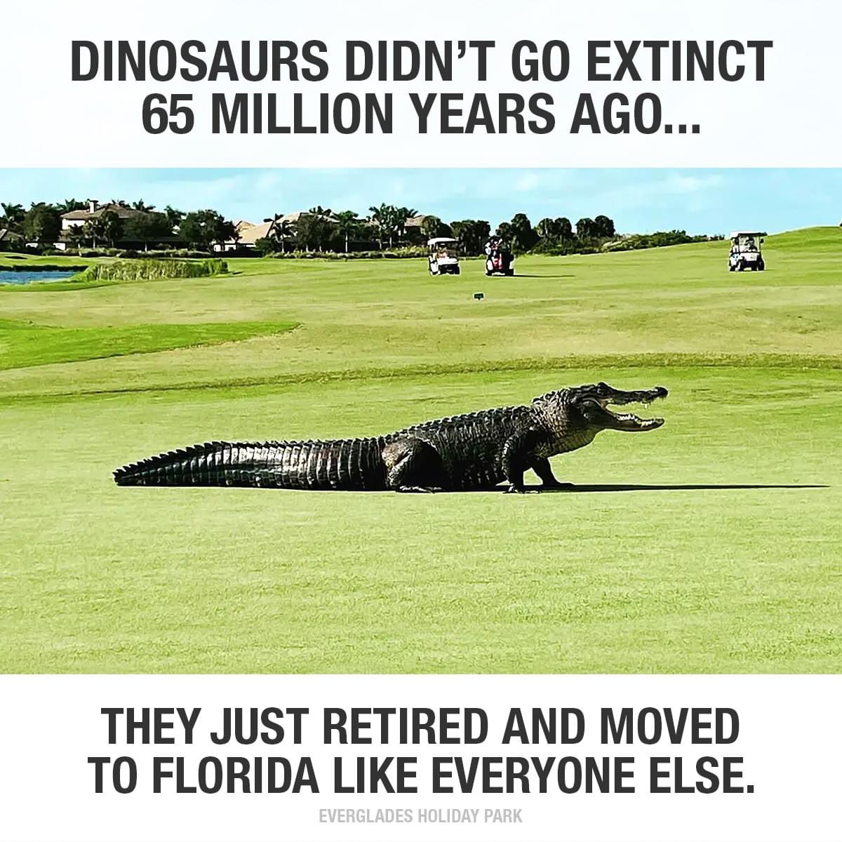 Funny Florida Gator Memes We REALLY Know How To Get Down In Florida!