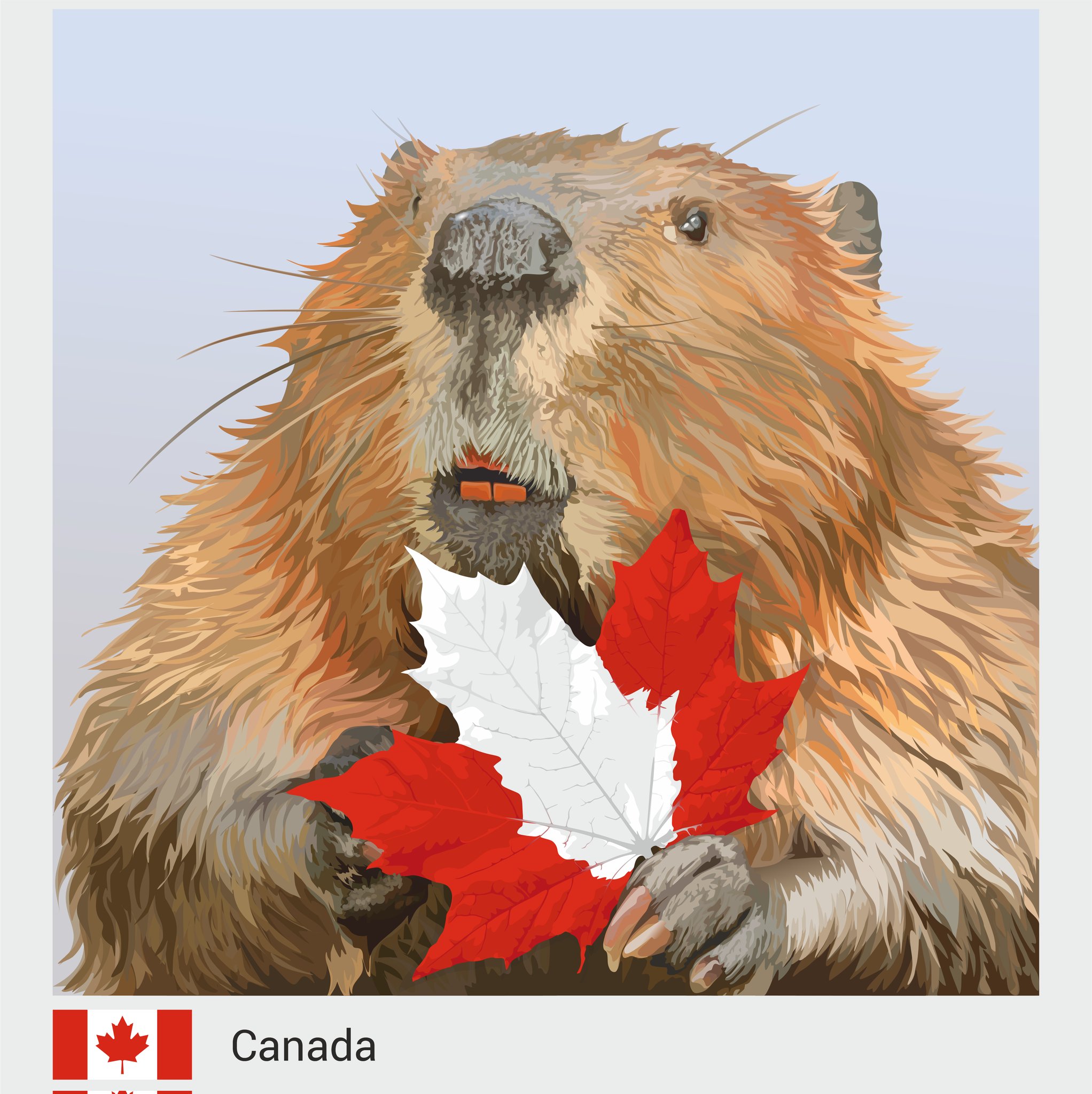 Canadian National Animal