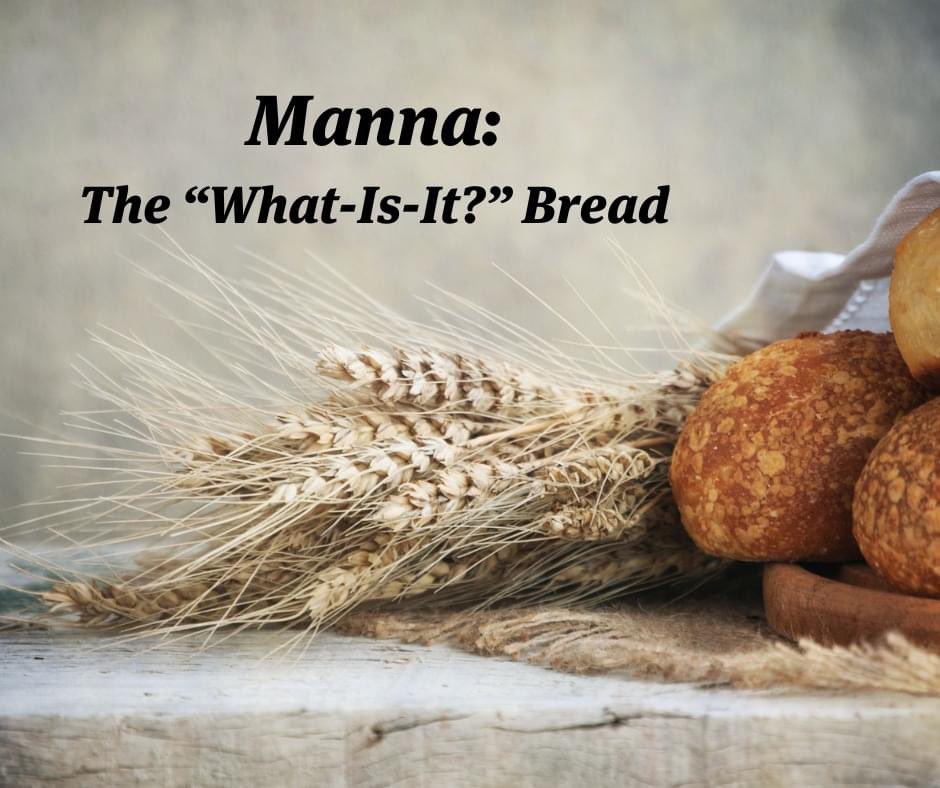 Manna Bread Bible