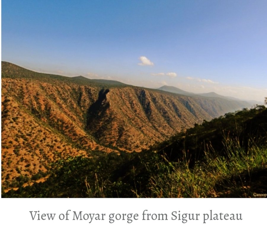 Moyar gorge or moyar canyon is 20 km long ,borders karnataka and tamil ...