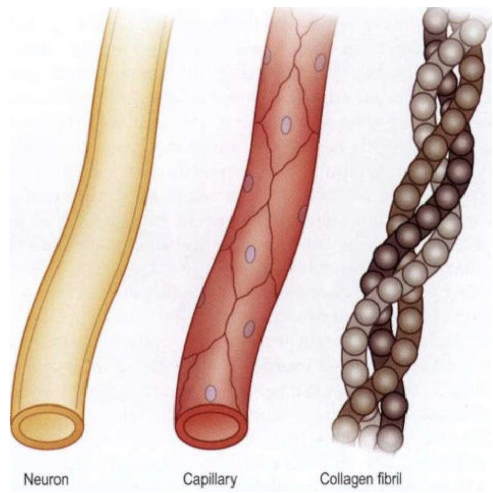 CO2 + T3 + B1's Threads – Thread Reader App