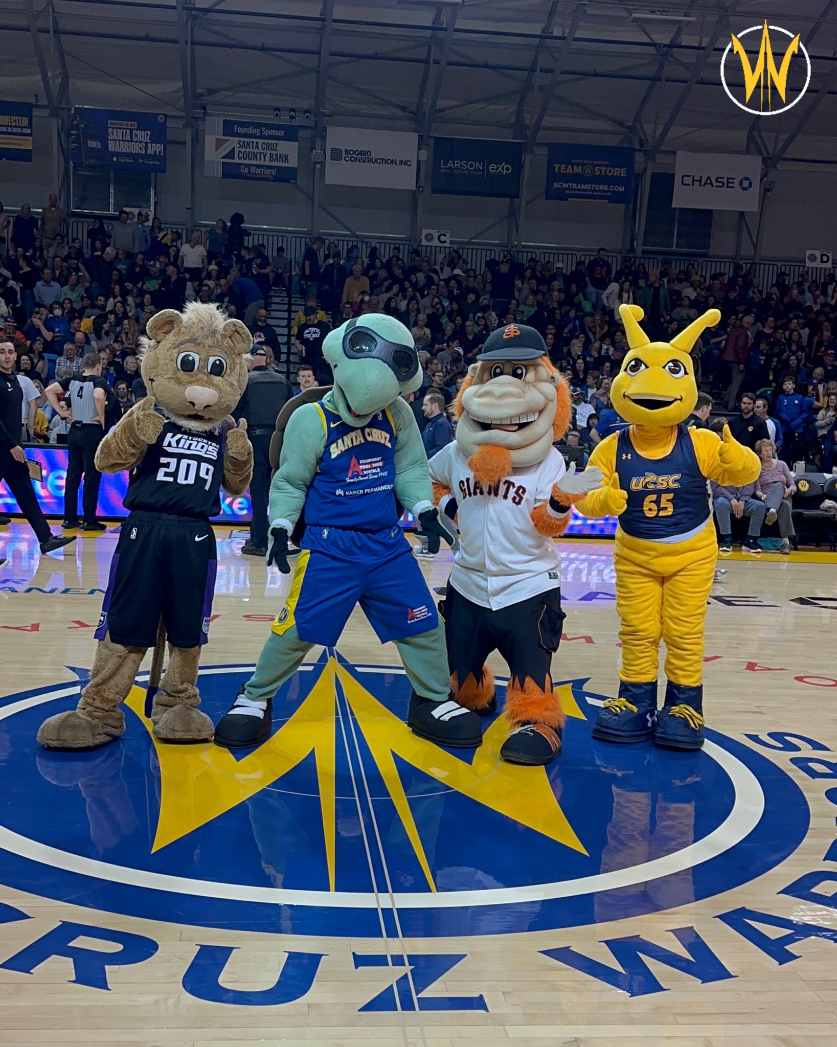 Golden State Warriors Team Mascot Grange Wallis Finally! I'm Back To