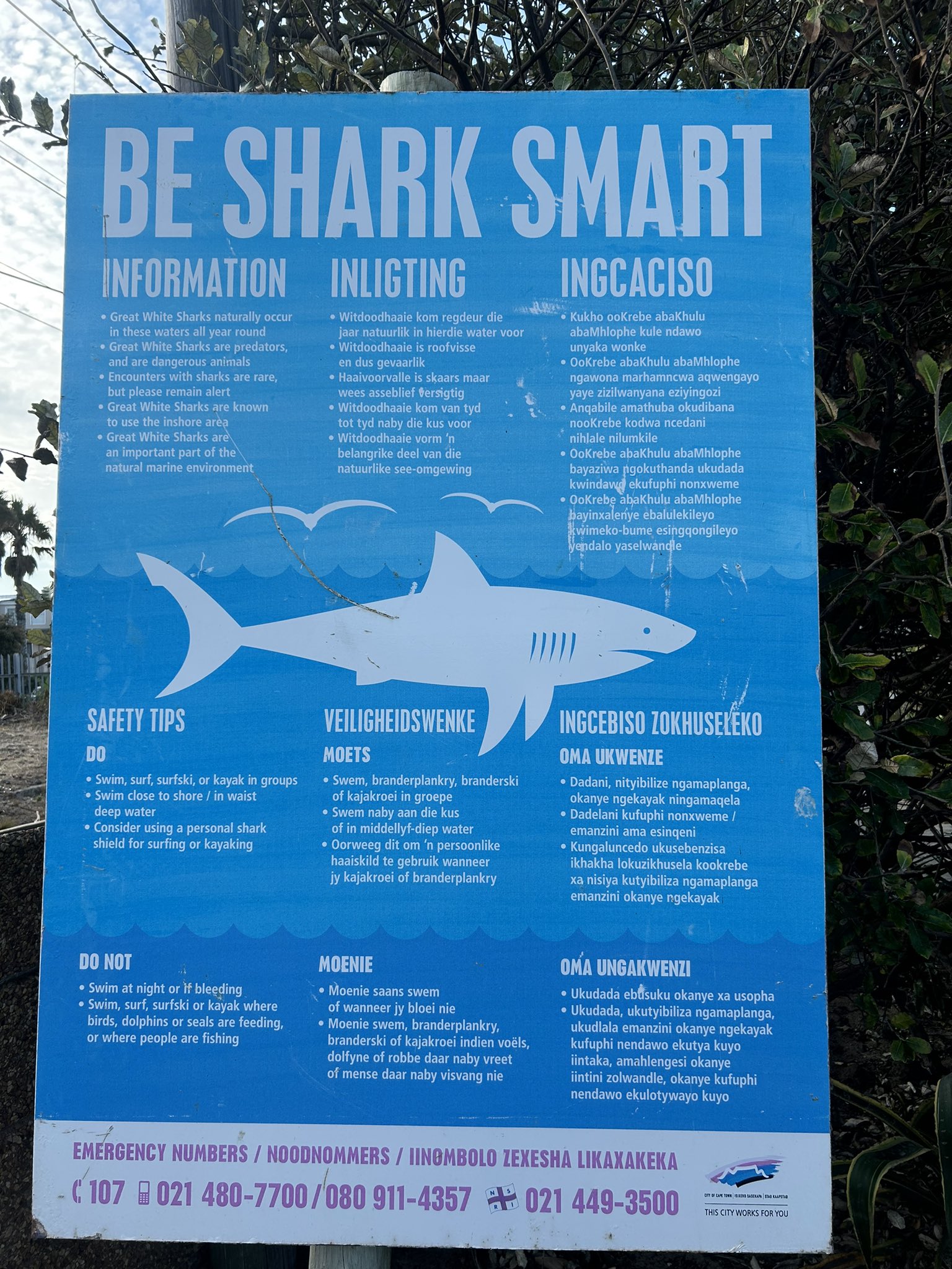 Smart Shark Quotes SharkSmart BEN Signs To Aid Safety At Beaches In