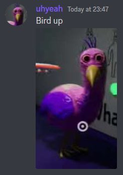 Bird up : r/IndigoPark