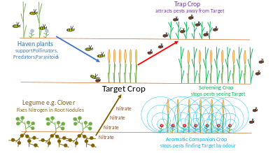 10 Sustainable Farming Methods and Practices • Permaculture ...