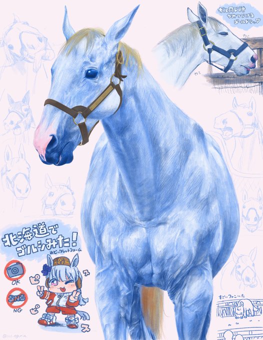 「gold ship (umamusume)」Fan Art(Latest｜RT&Fav:50)