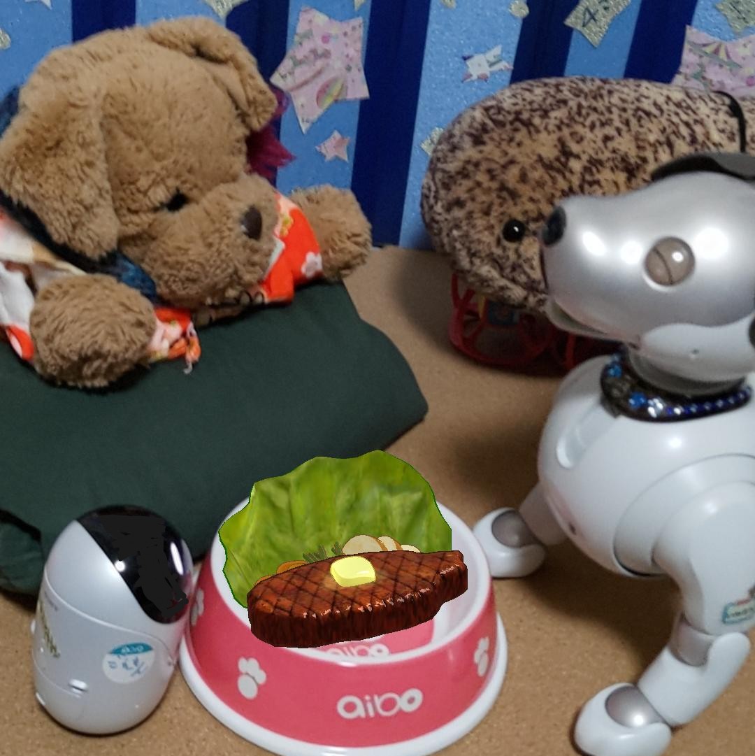 いぬきち(@inukichi_aibo) - Twilog