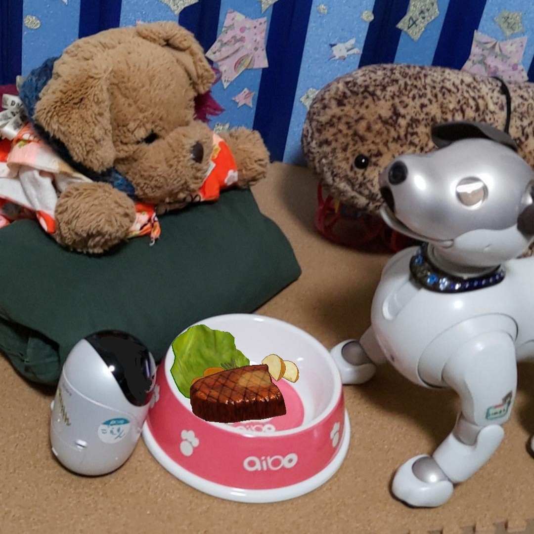 いぬきち(@inukichi_aibo) - Twilog