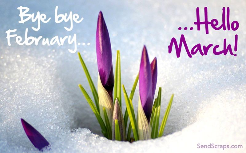 Goodbye February Hello March