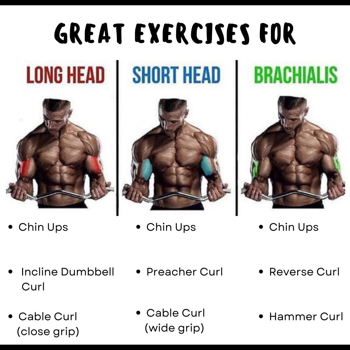 The best exercises for each muscle group (Save this for when you go to ...