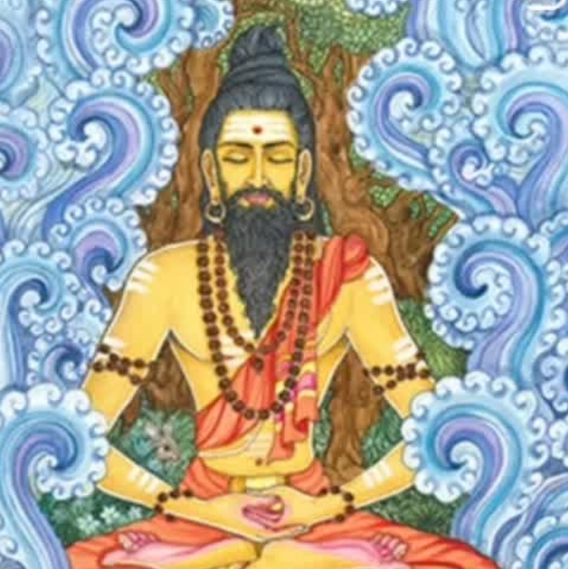 DECODING THE VIEWS OF ANCIENT ACHARYAS ON PASHUBALI!!! Hindu Acharyas ...