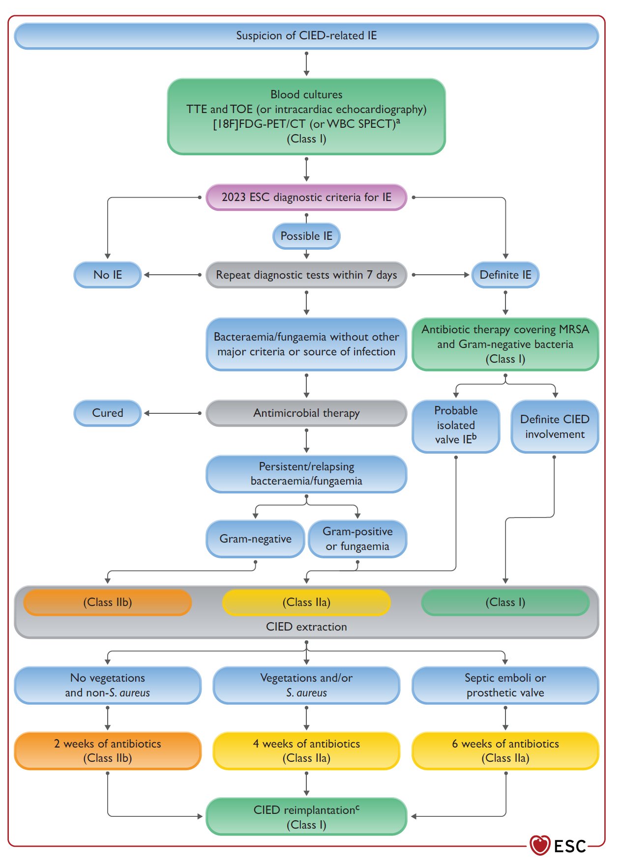 Infective Endocarditis Esc Guidelines Youtube CARDIOLOGY EDITION: