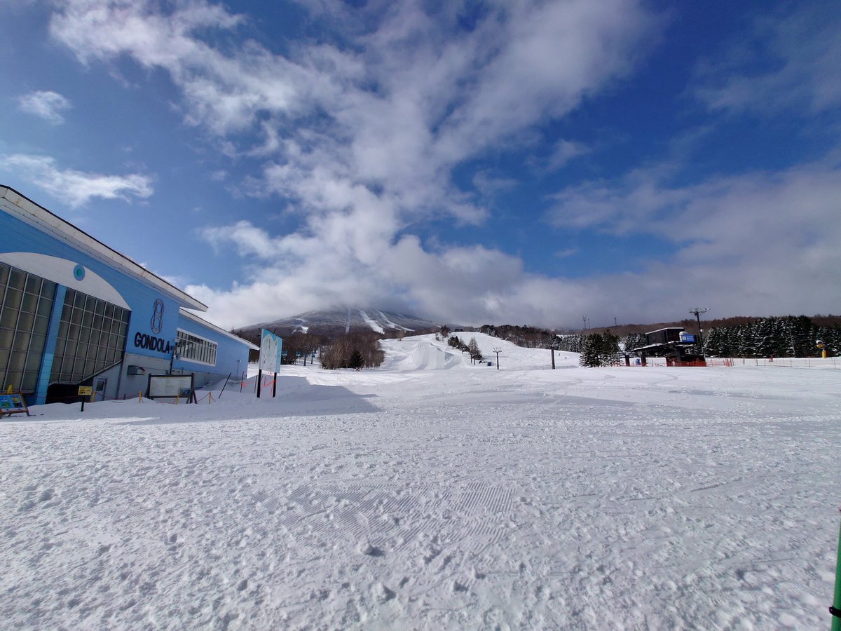 cis5589 れいわ新鮮な発想力を持つ男