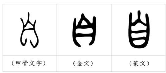 Kanji Shell Fish