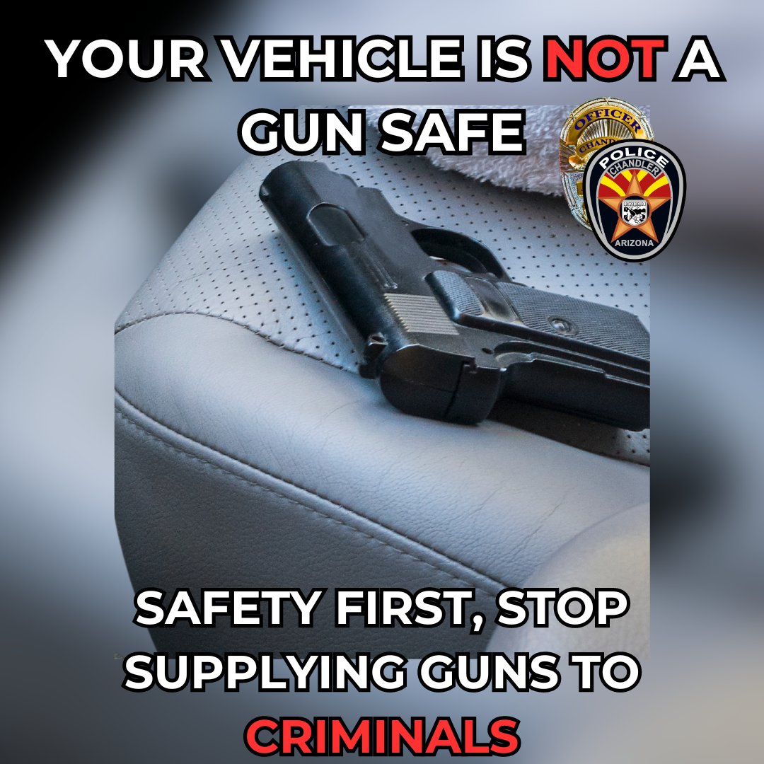 Gun Safety Meme