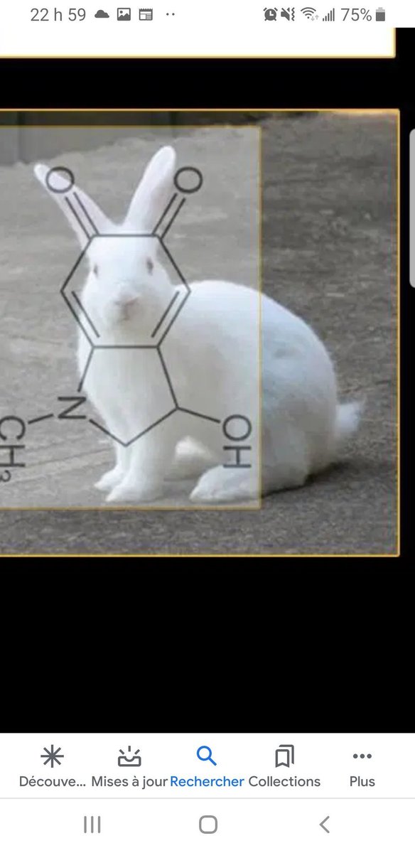 Thread by @DuncanCamp38543 on Thread Reader App – Thread Reader App