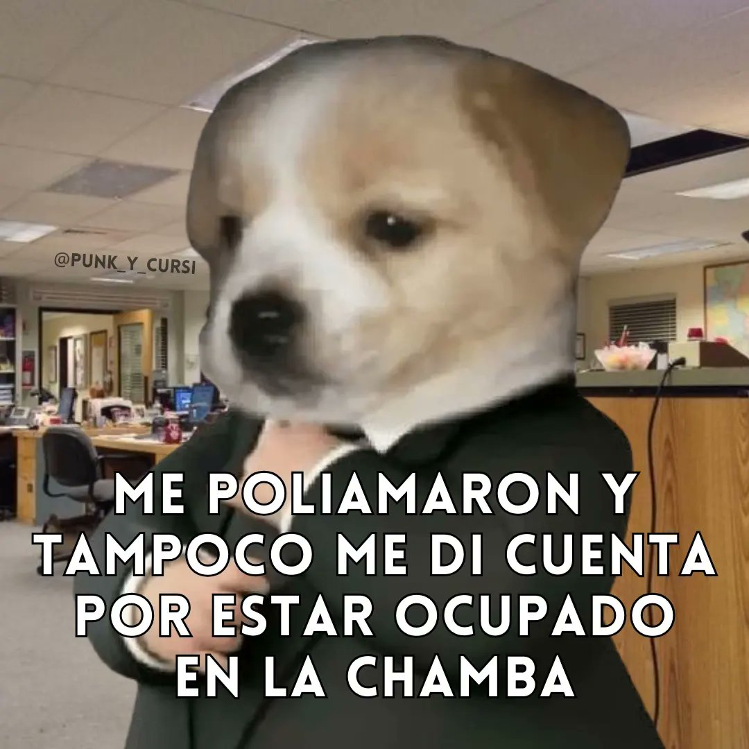 Memes De Perros Abogados
