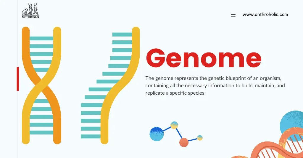 Genome India project - India’s genetic map 🧵🧵 What is the Genome India project. What is a genome ...