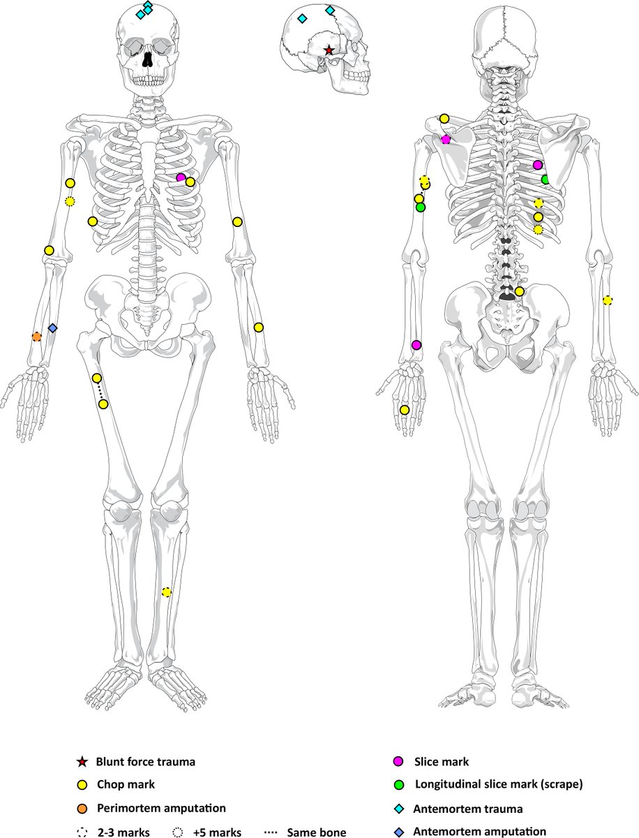 Alert! Alert! ⚠️ New #paper published! 😱 Join me in this thread 🧵👇 ...