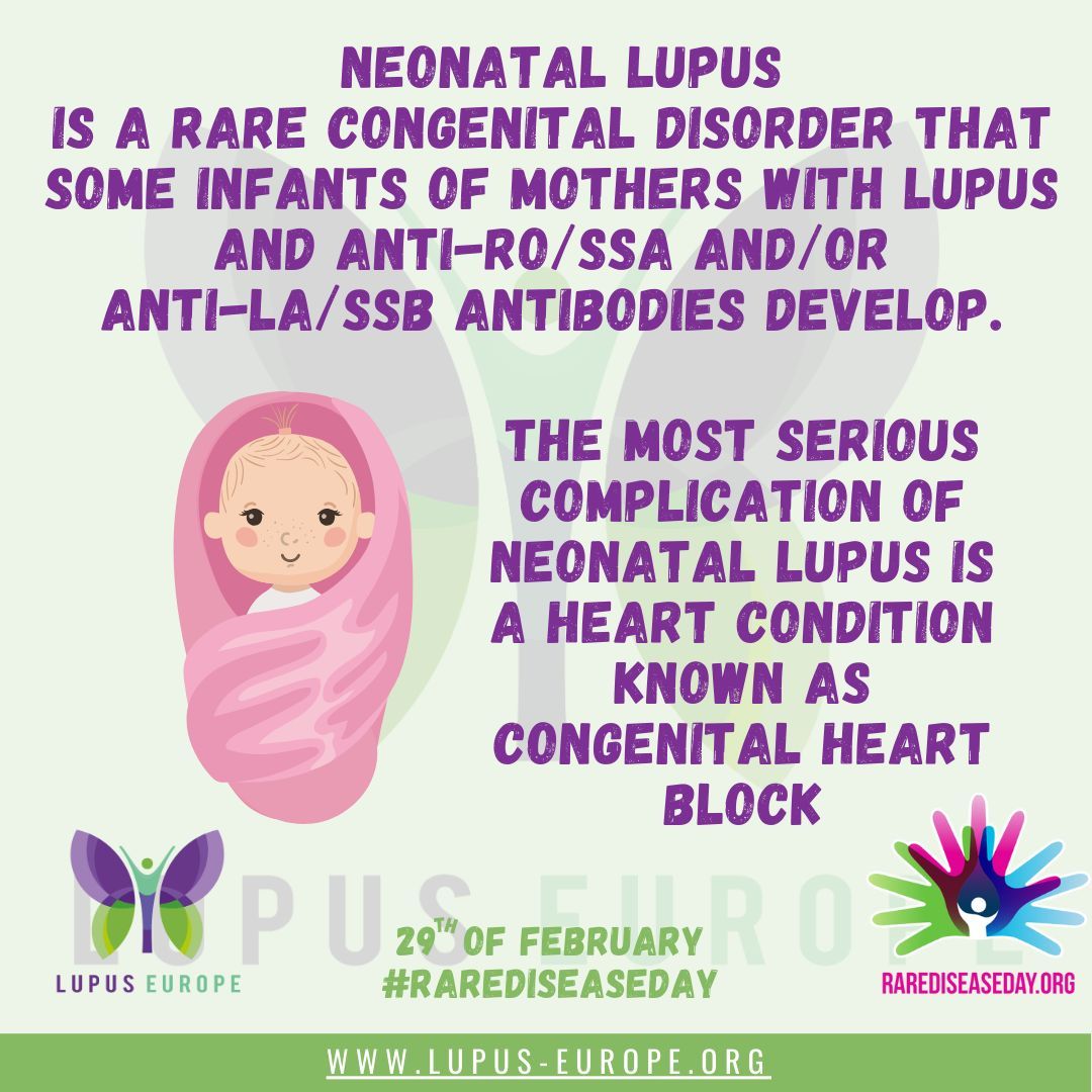 Apply to the EULAR PARE: Knowledge transfer programme - Lupus Europe