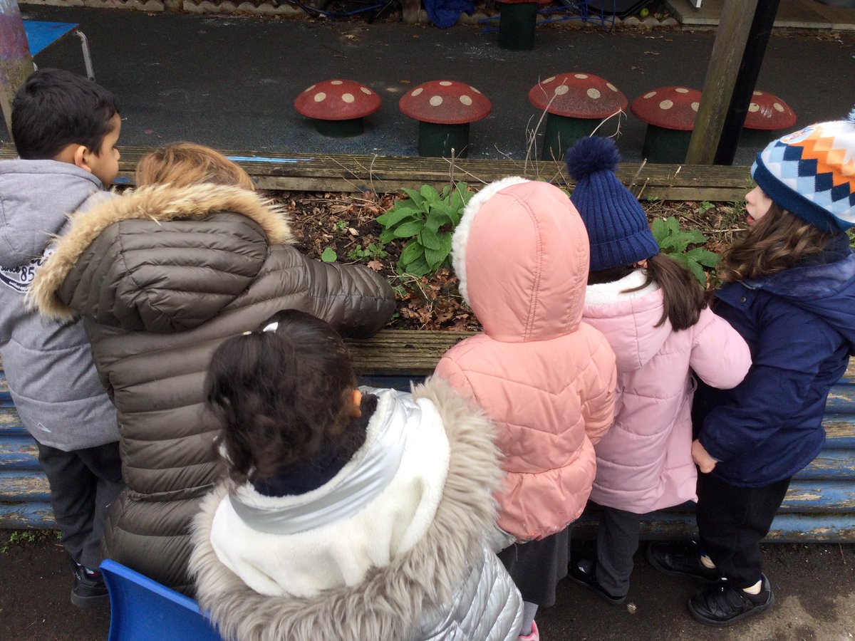 Southmead Primary School, Princes Way, Wimbledon, SW19 6QT