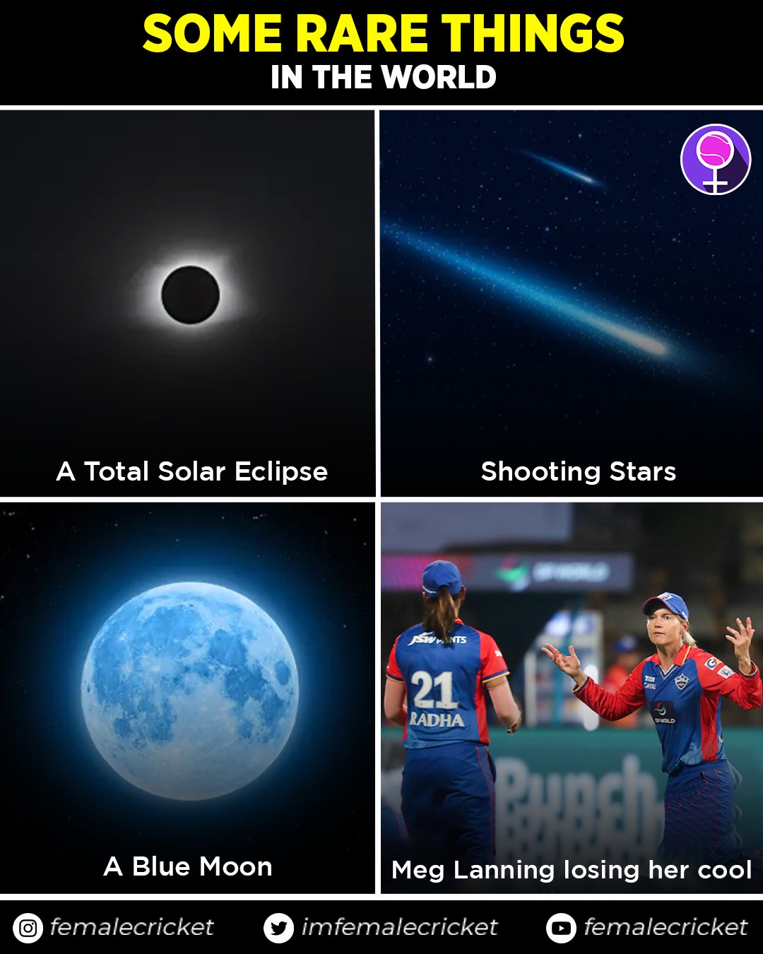 Rare Occurrence Memes It's A Very Rare Occurrence... The Hamper Co.