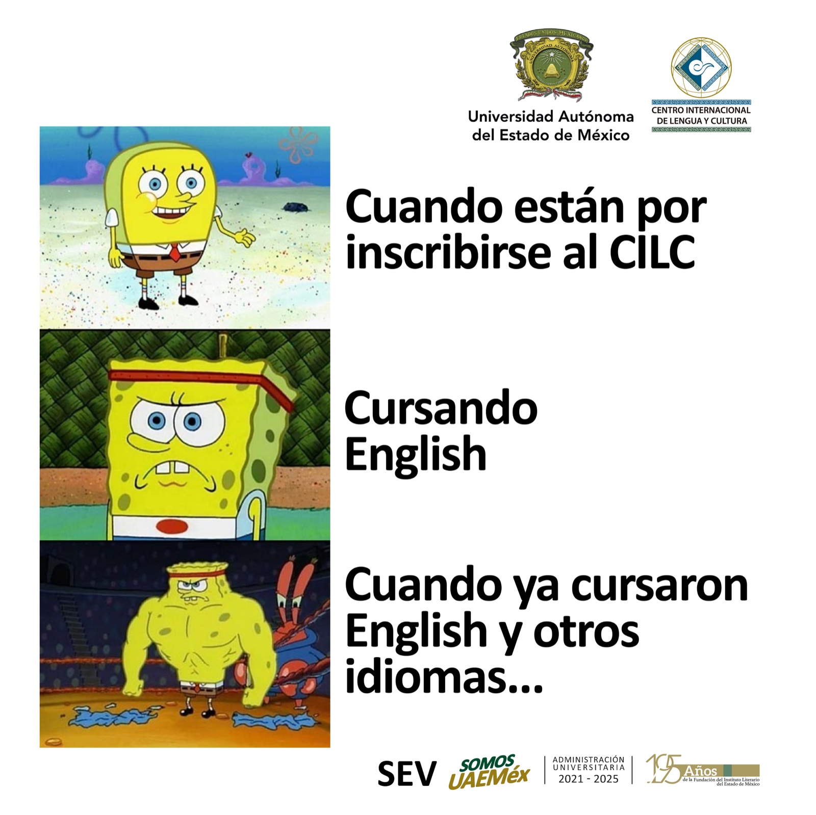 Memes De Idomas 28 Language Learning Memes For DuoLinguists