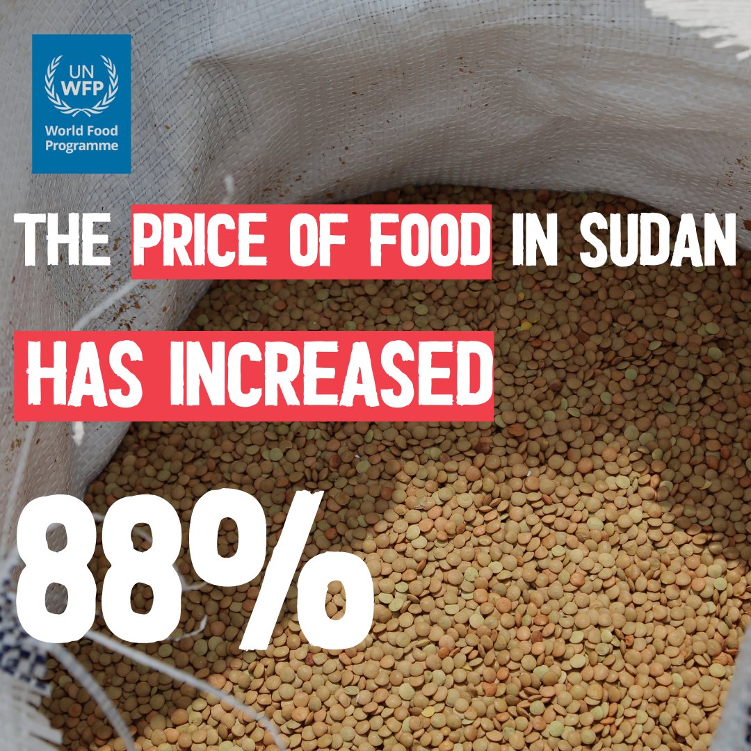 FAO Roadmap | SDG2 Advocacy Hub