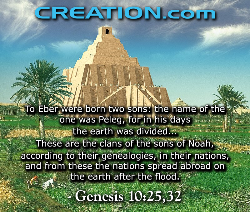 Noahs Flood And The Continents Splitting Zealandia, Earth's Hidden