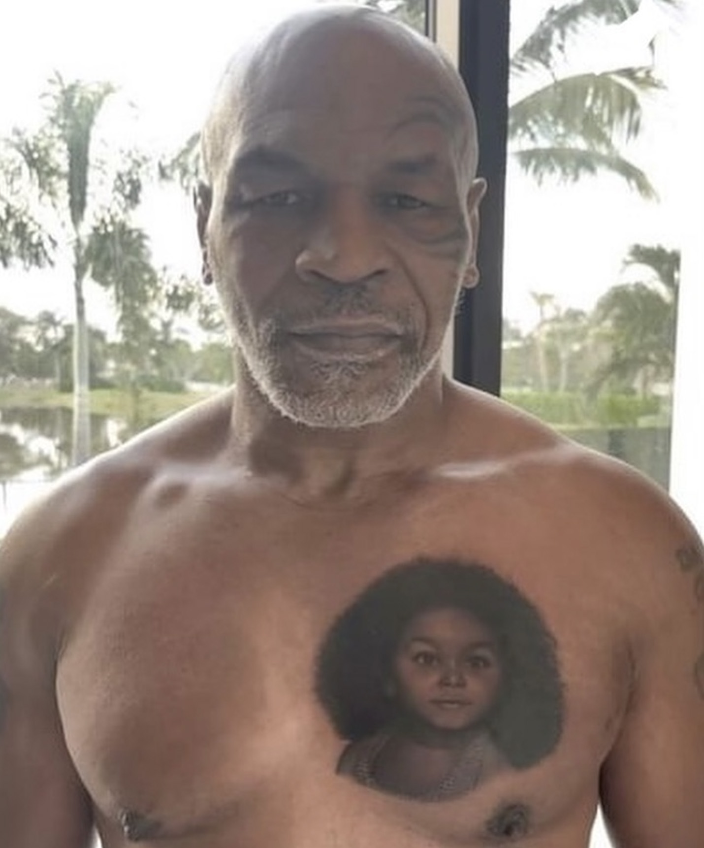 Mike Tyson Chest Tattoos Mike Tyson Shouldn't Box Again, Says Dave