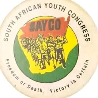 Sayco Logo SayCo Show | Thesaycoshow