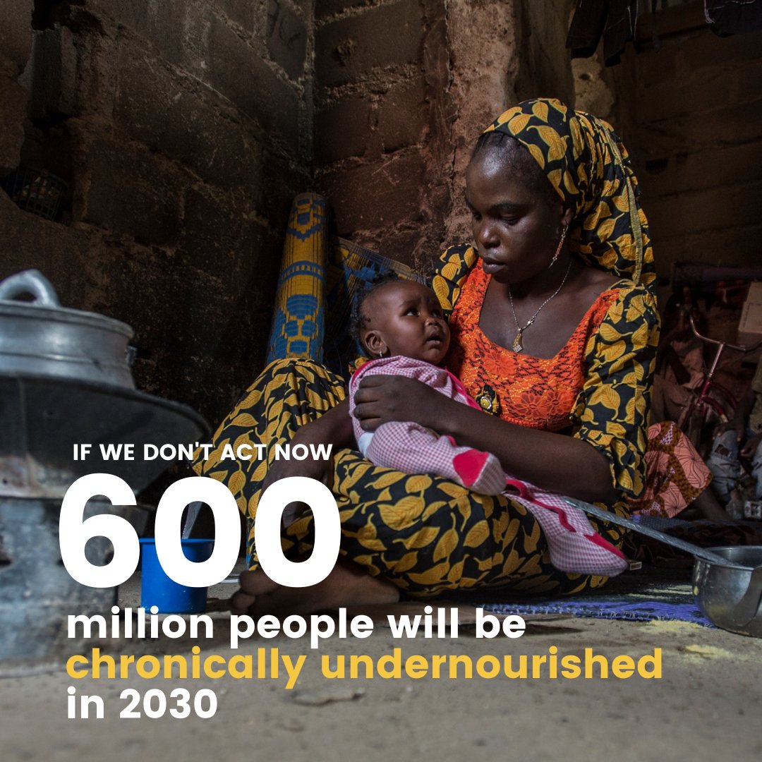 FAO Roadmap | SDG2 Advocacy Hub