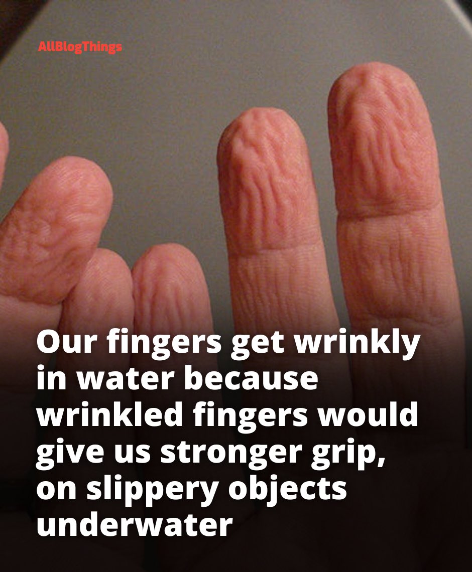 Wrinkled Finger Memes