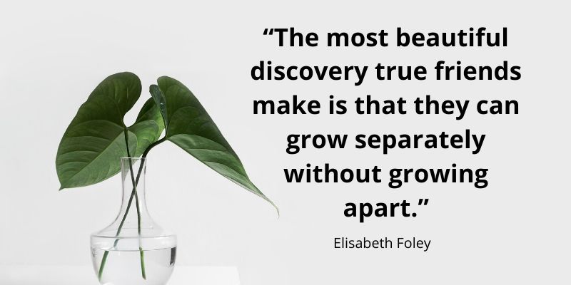 Growing Apart Friendship Quotes 15 Quotes On Friends To Remember When